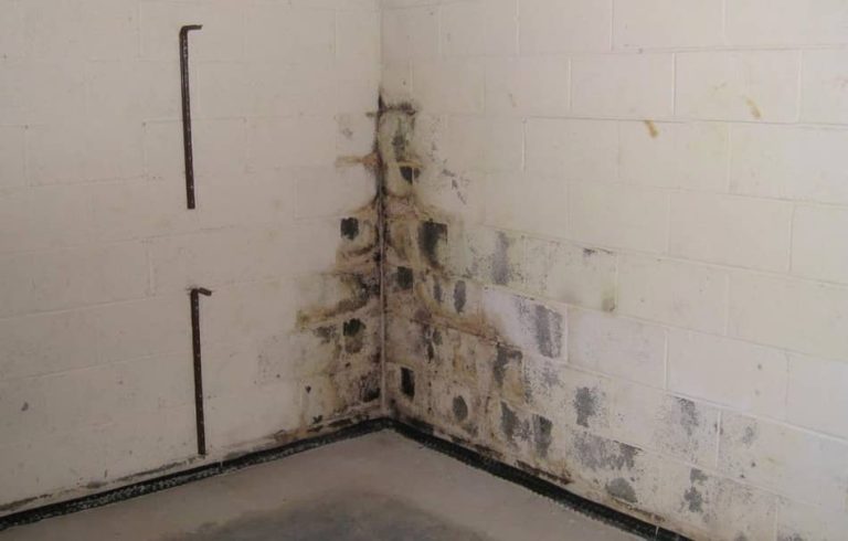 Ideal Basement Humidity: Expert Recommendations