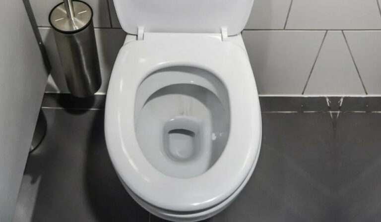 Black Spots In the Toilet Bowl: Causes and Solutions